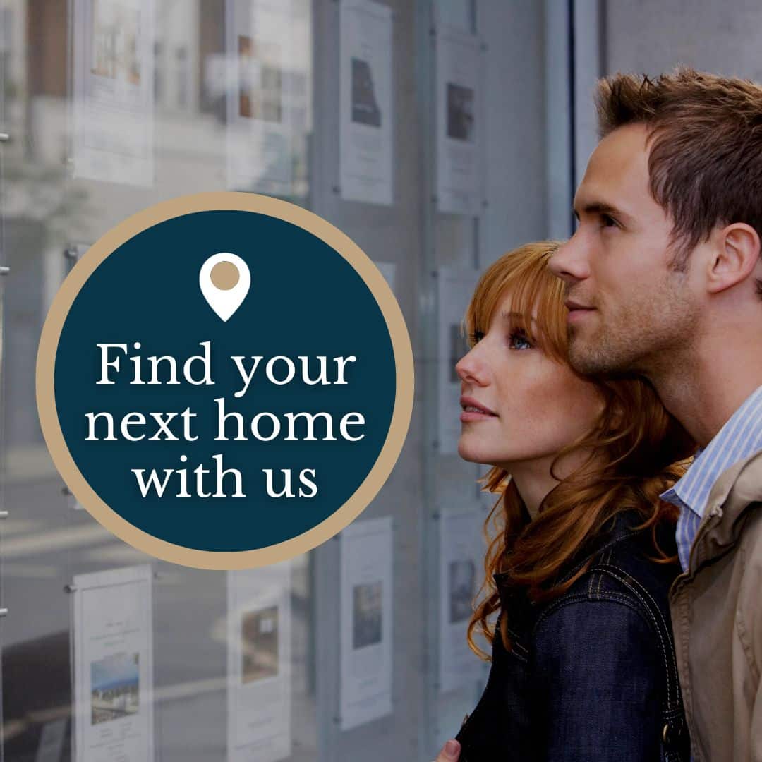 Properties to rent | Louis & Co